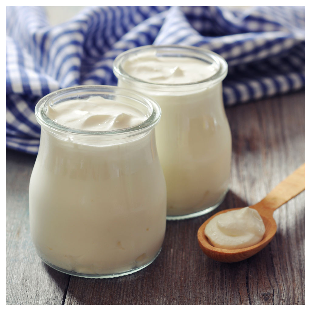 Yogurt Bulgaro, Fermento Tradizionale | Kefiralia